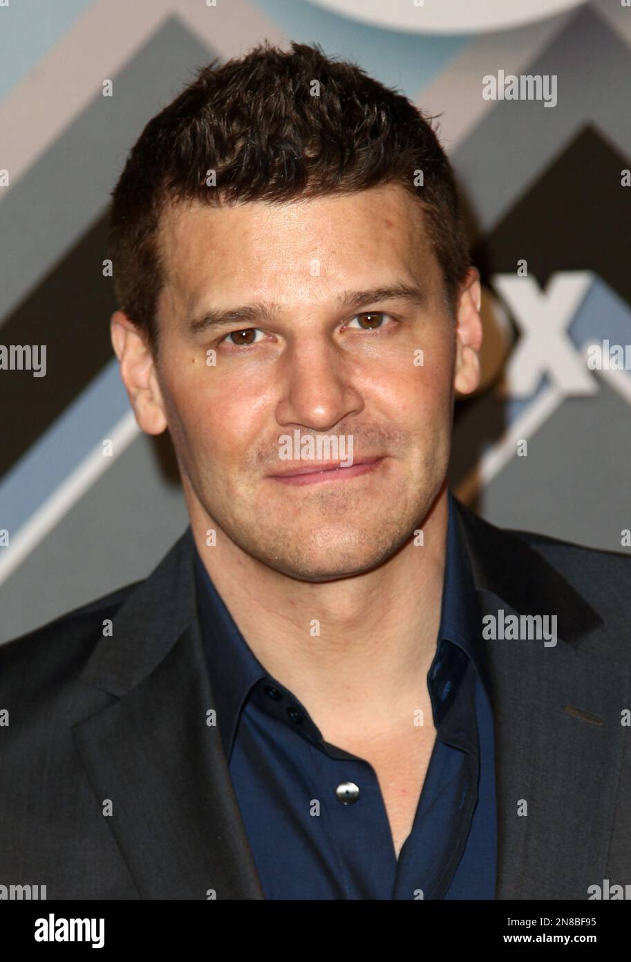 David Boreanaz arrives at the Winter TCA Fox All-Star Party at the ...