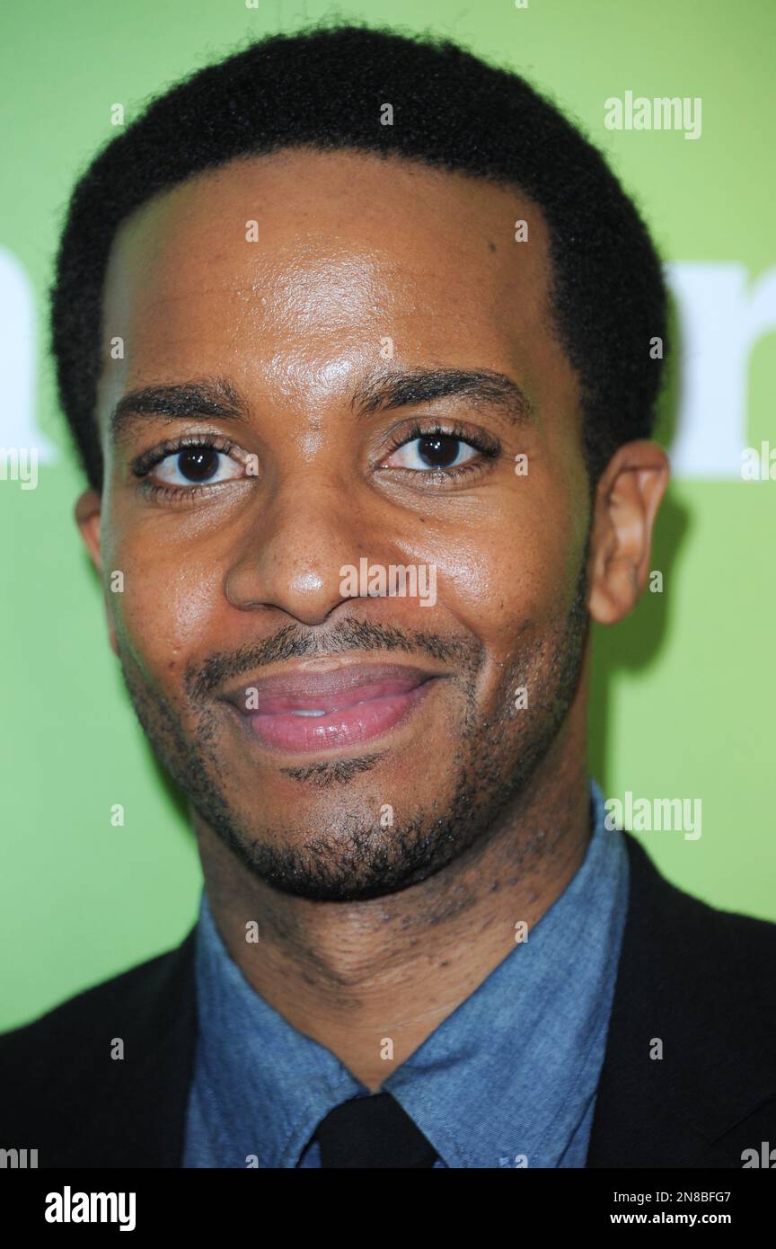 Andra Holland attends the NBC Universal Winter TCA Tour at the Langham ...