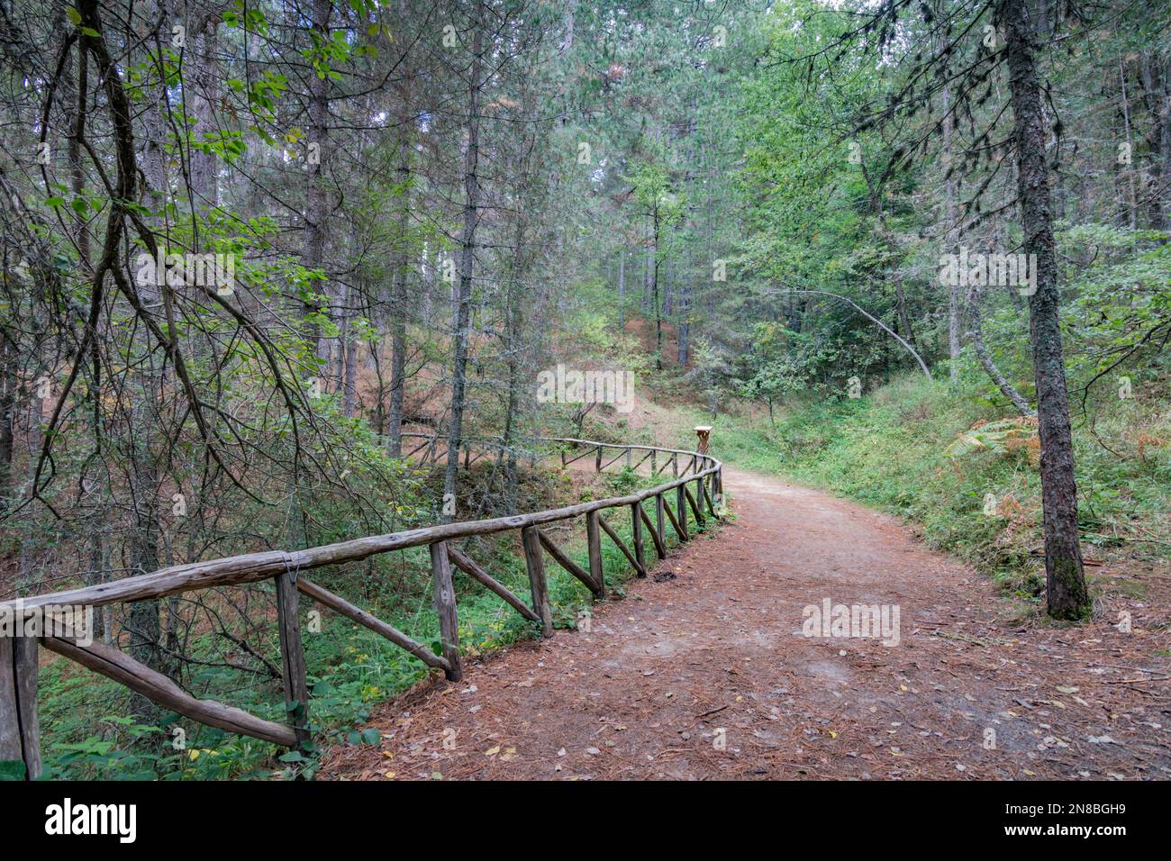 Hiking trail in the Sila park, Calabria Stock Photo - Alamy