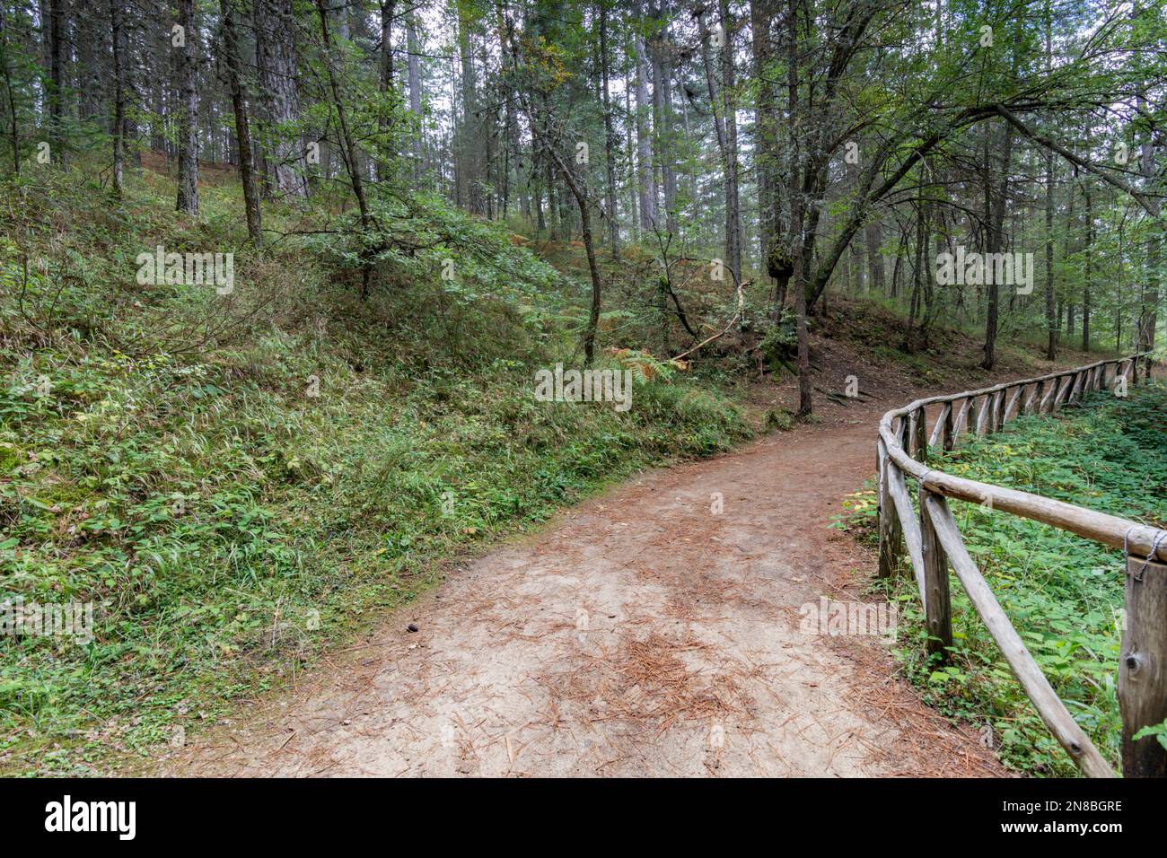 Hiking trail in the Sila park, Calabria Stock Photo - Alamy
