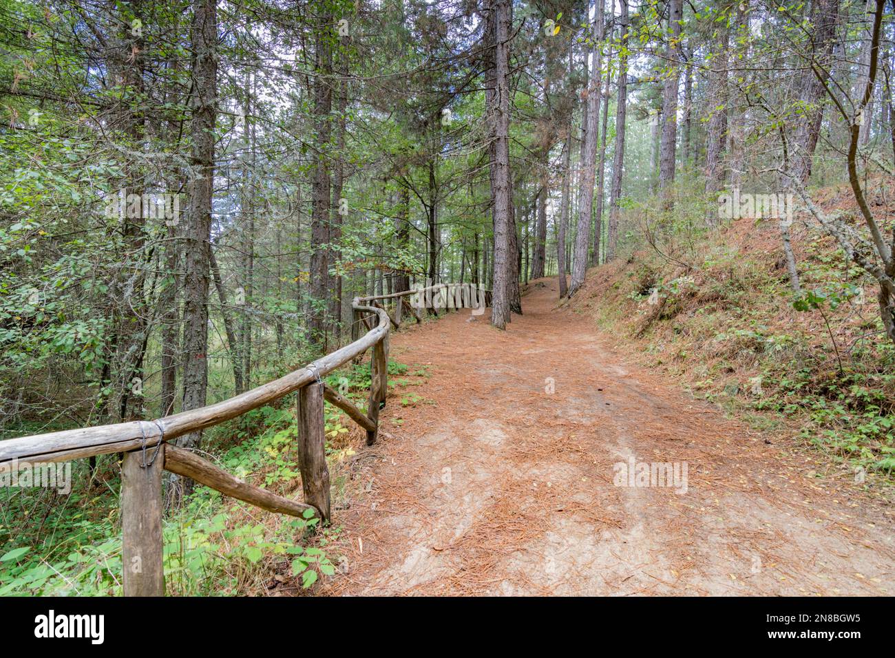 Hiking trail in the Sila park, Calabria Stock Photo - Alamy