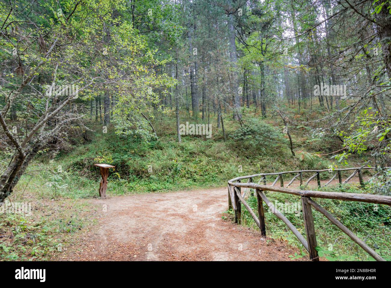 Hiking trail in the Sila park, Calabria Stock Photo - Alamy