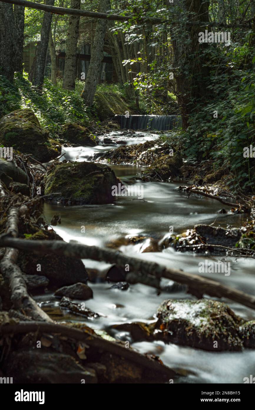 Musk rocks hi-res stock photography and images - Alamy