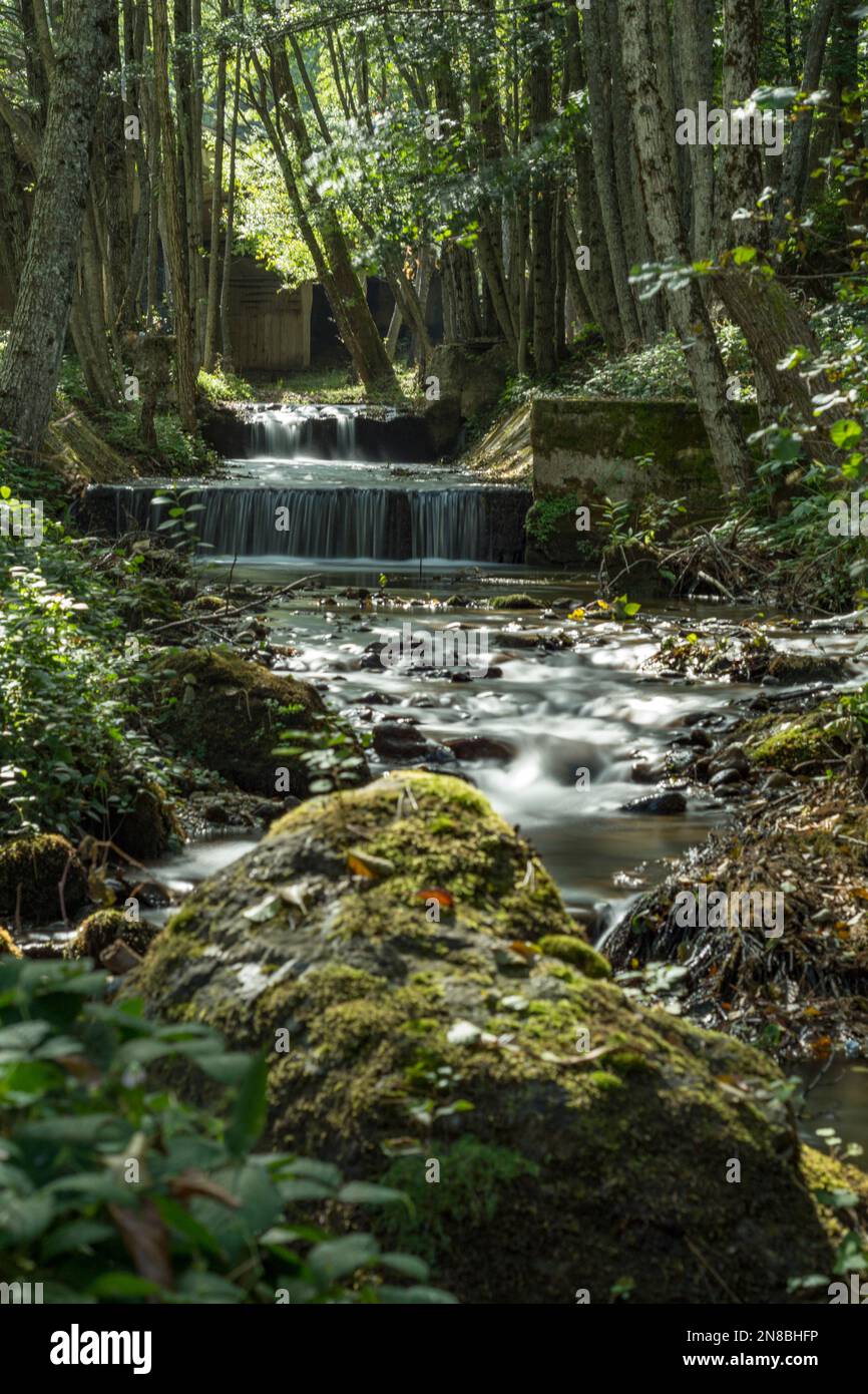 Stream in the Sila Park, Calabria Stock Photo - Alamy
