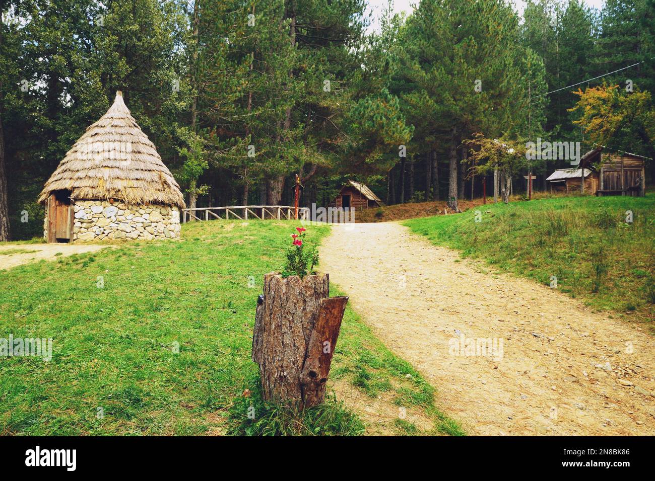 Italy, sila national park hi-res stock photography and images - Alamy