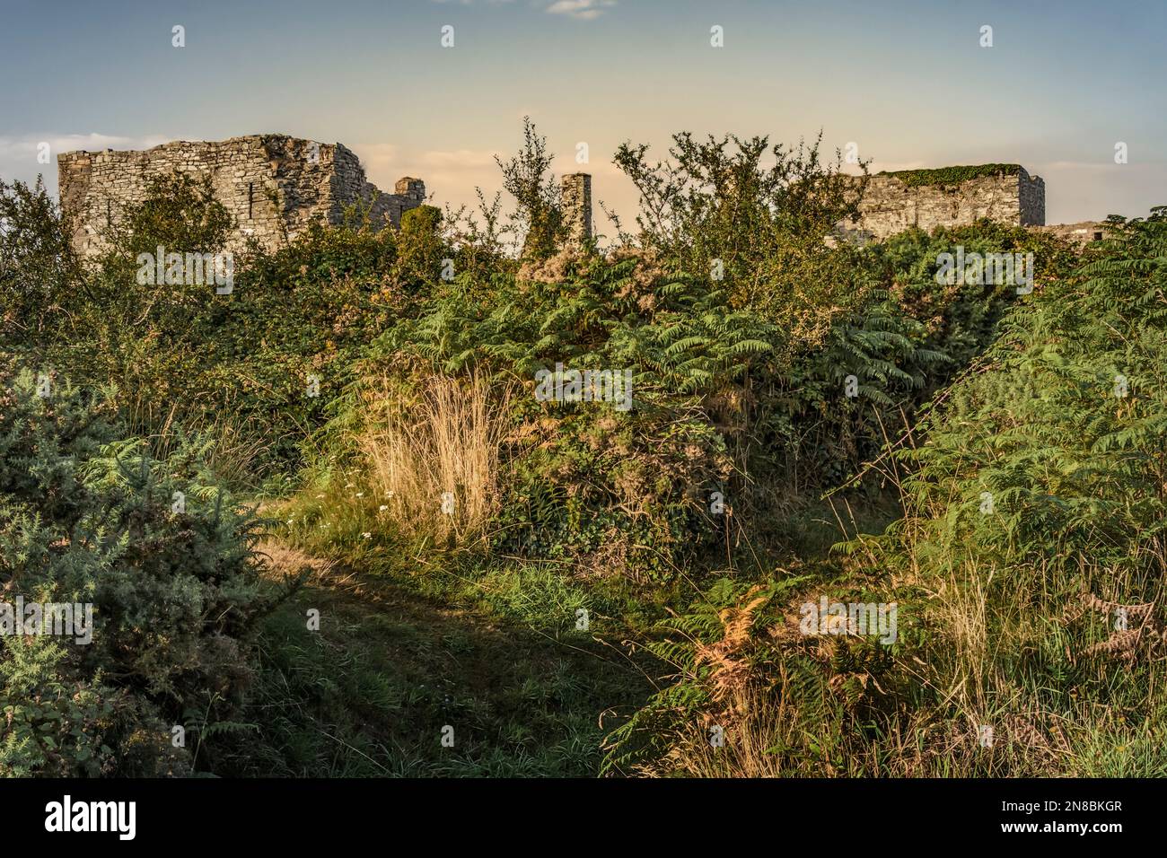 James fort archaeology hi-res stock photography and images - Alamy