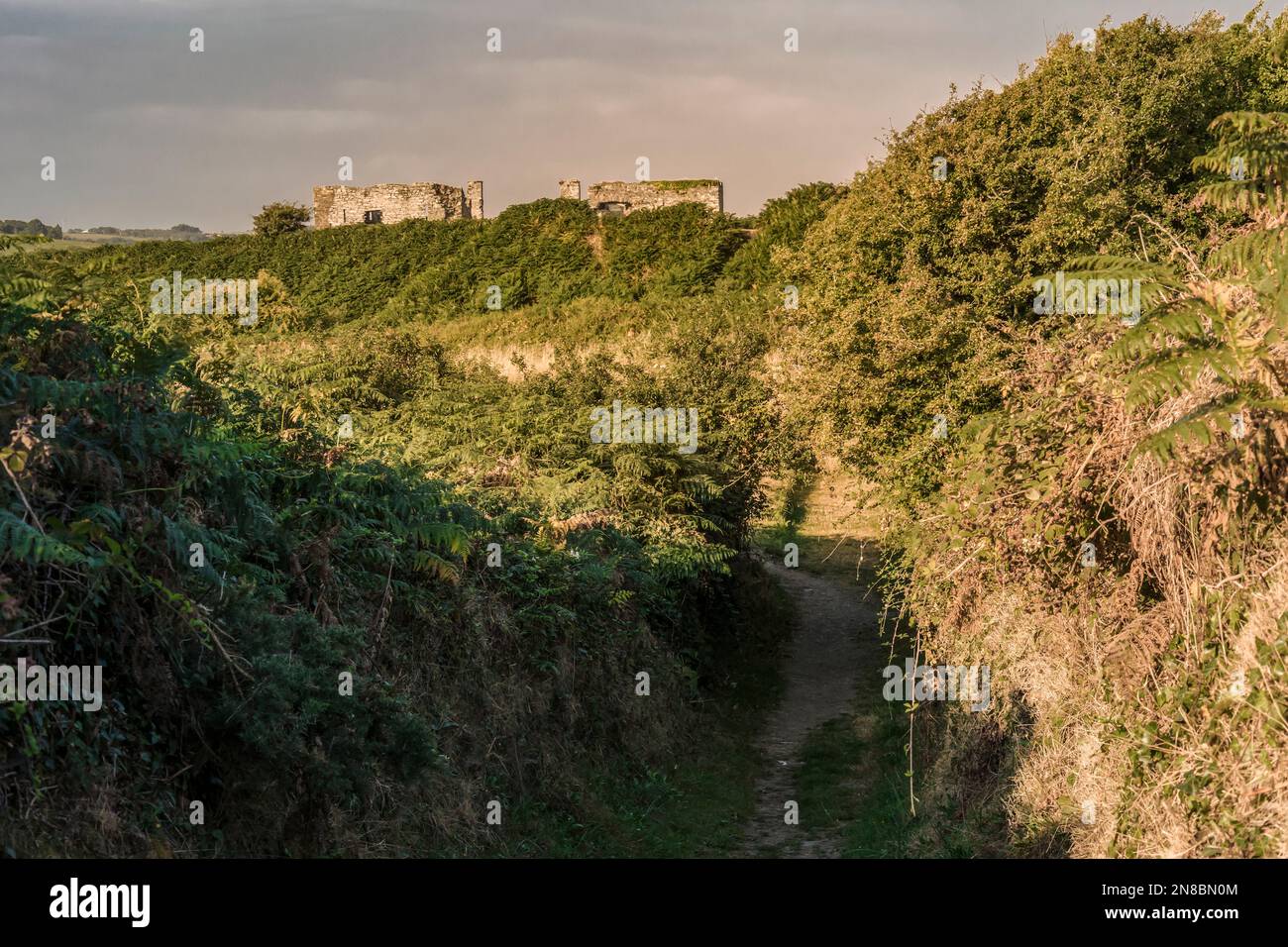 James fort archaeology hi-res stock photography and images - Alamy