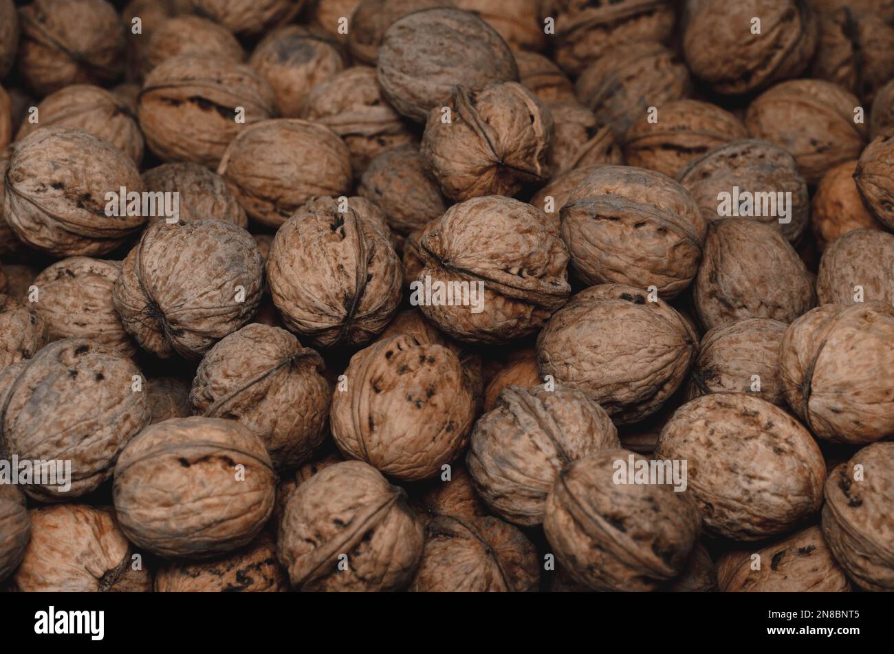 Walnuts background close up. Unshelled dried seeds of the common walnut ...