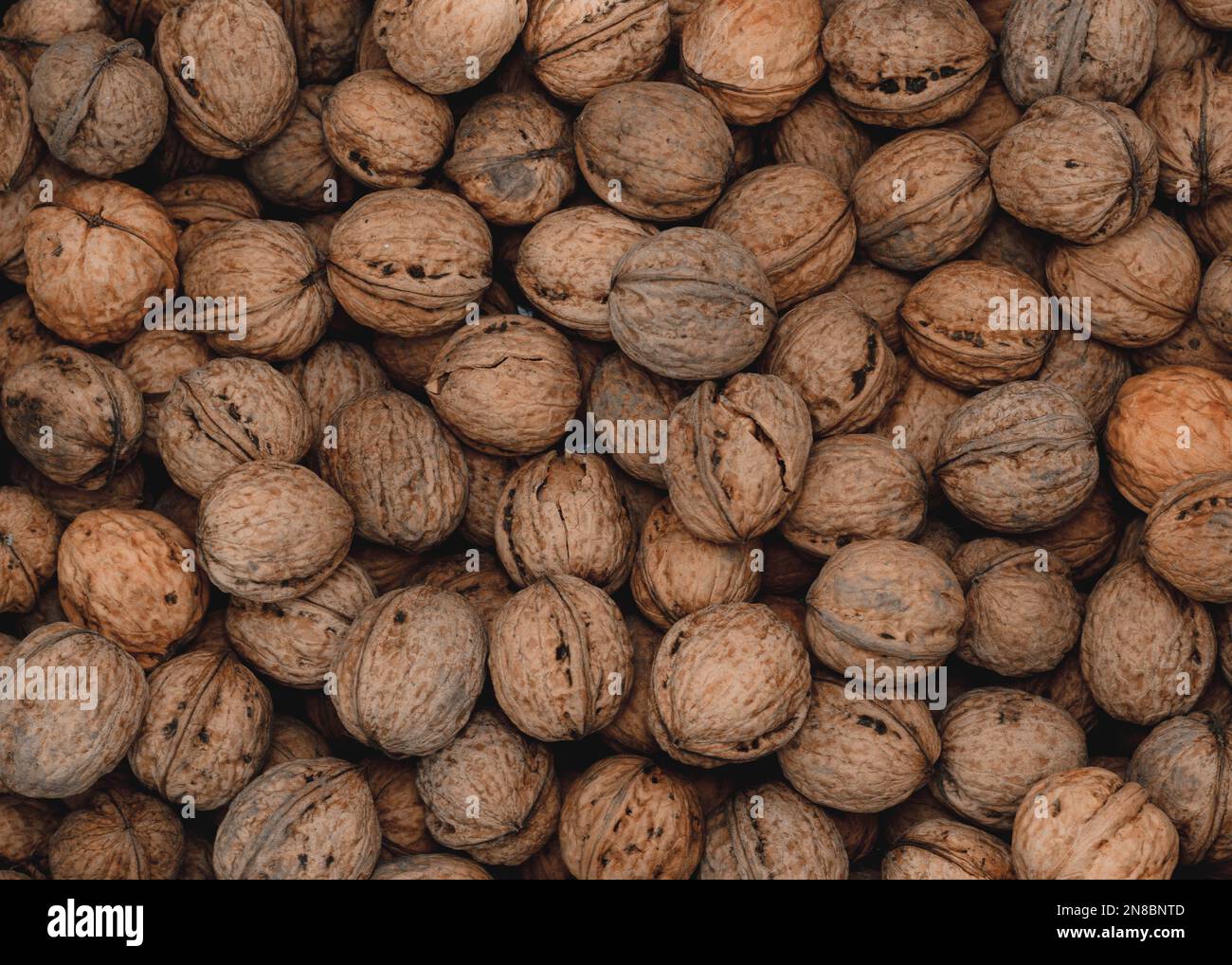 Walnut pattern hi-res stock photography and images - Alamy