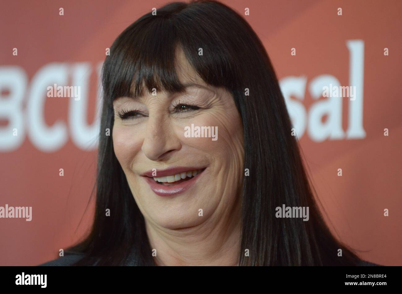 Alison Sweeney attends the NBC Universal Winter TCA Tour at the Langham ...