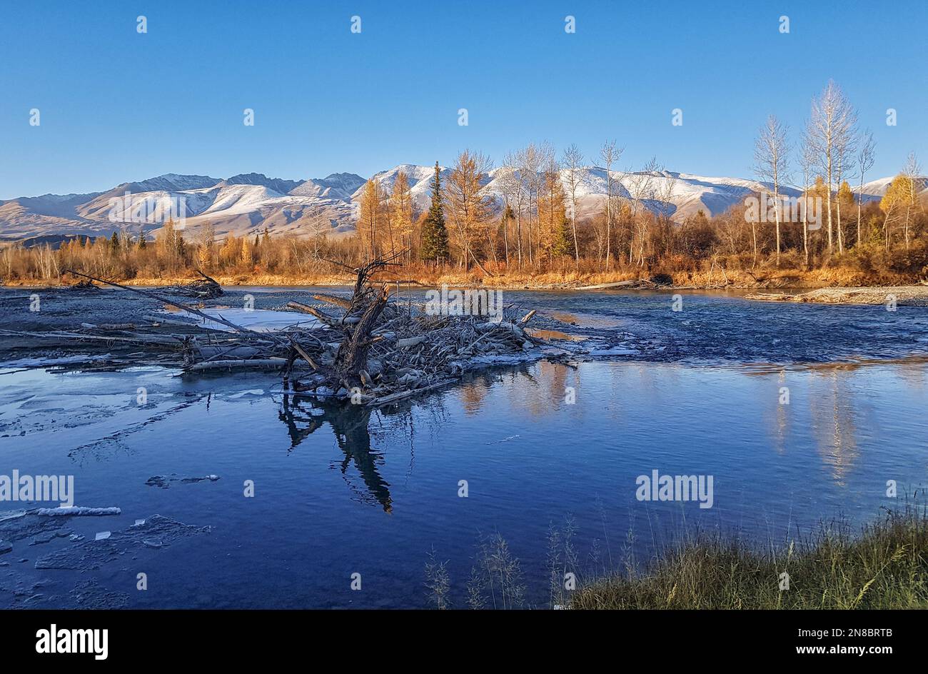 Landscape of the Altai Mountains and small River in Siberia, Altai ...