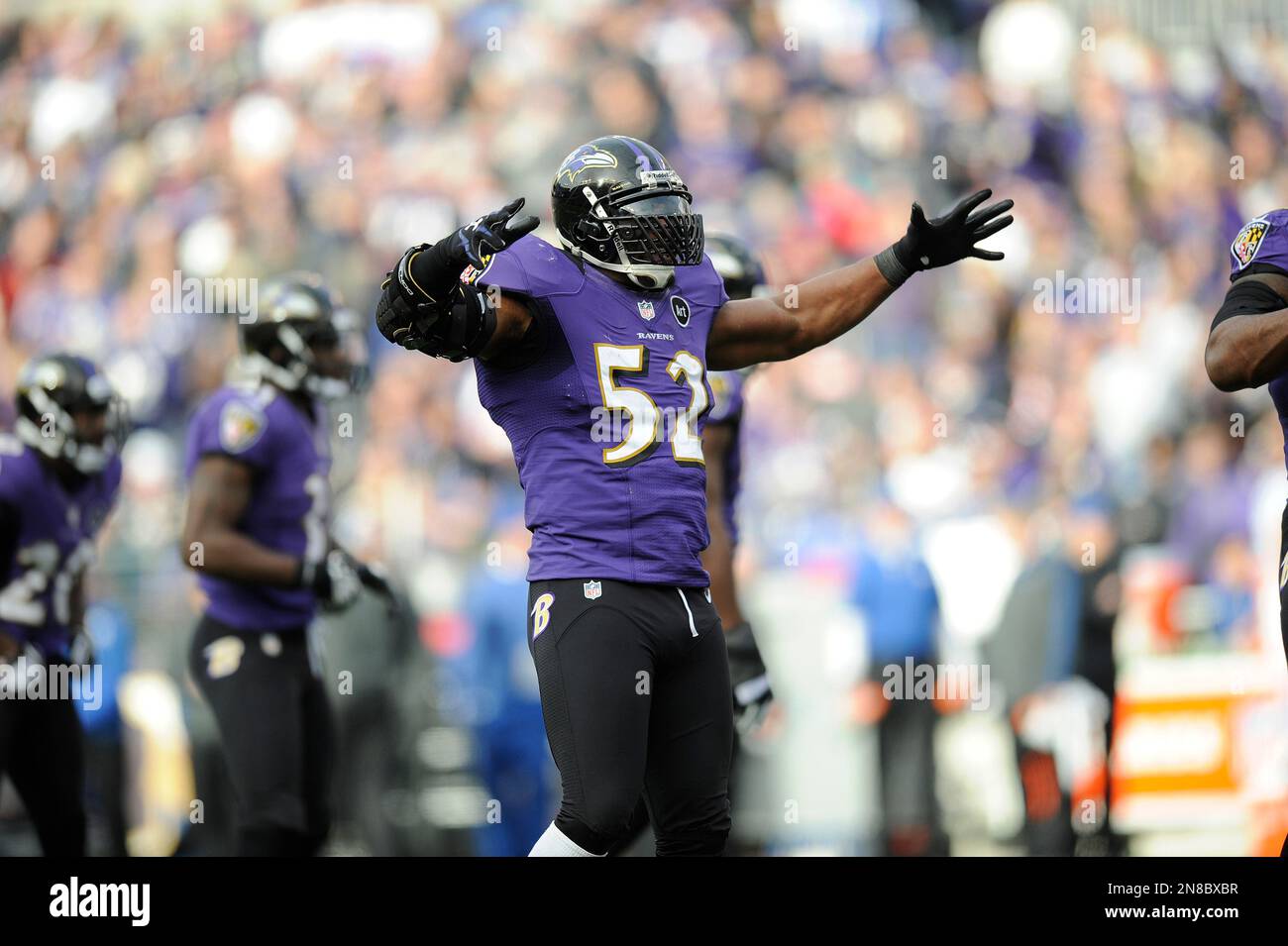 Baltimore Ravens inside linebacker Ray Lewis (52) reacts after a play ...