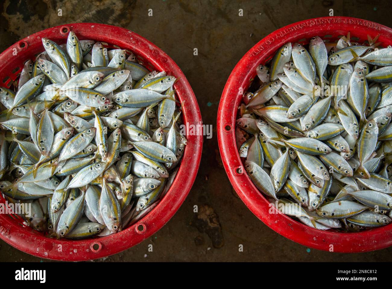 The Fish Market and Harbour at the Pak Nam Pran Fishing Village near ...