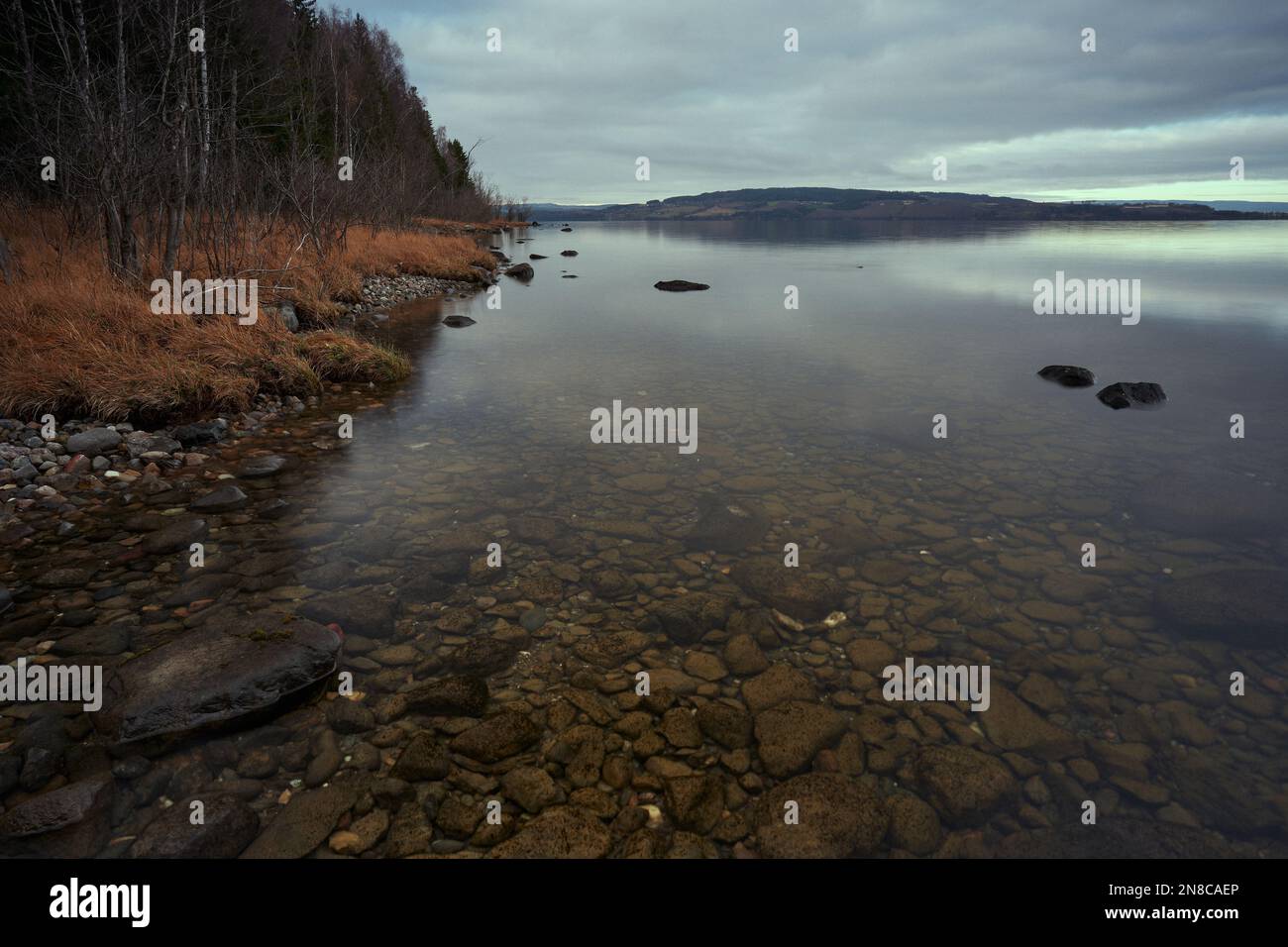 A beautiful shot of the Mjosa lake under a gloomy sky near a forest in ...