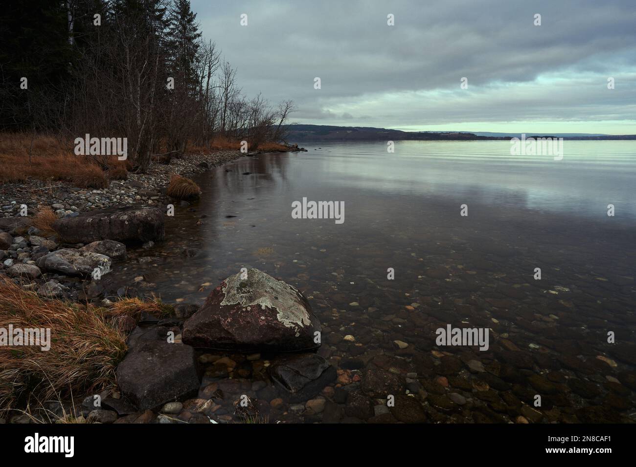 A beautiful shot of the Mjosa lake under a gloomy sky near a forest in ...