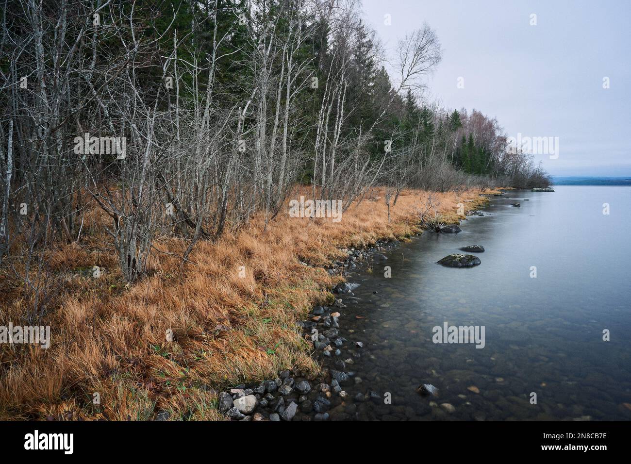 A beautiful shot of the Mjosa lake under a gloomy sky near a forest in ...