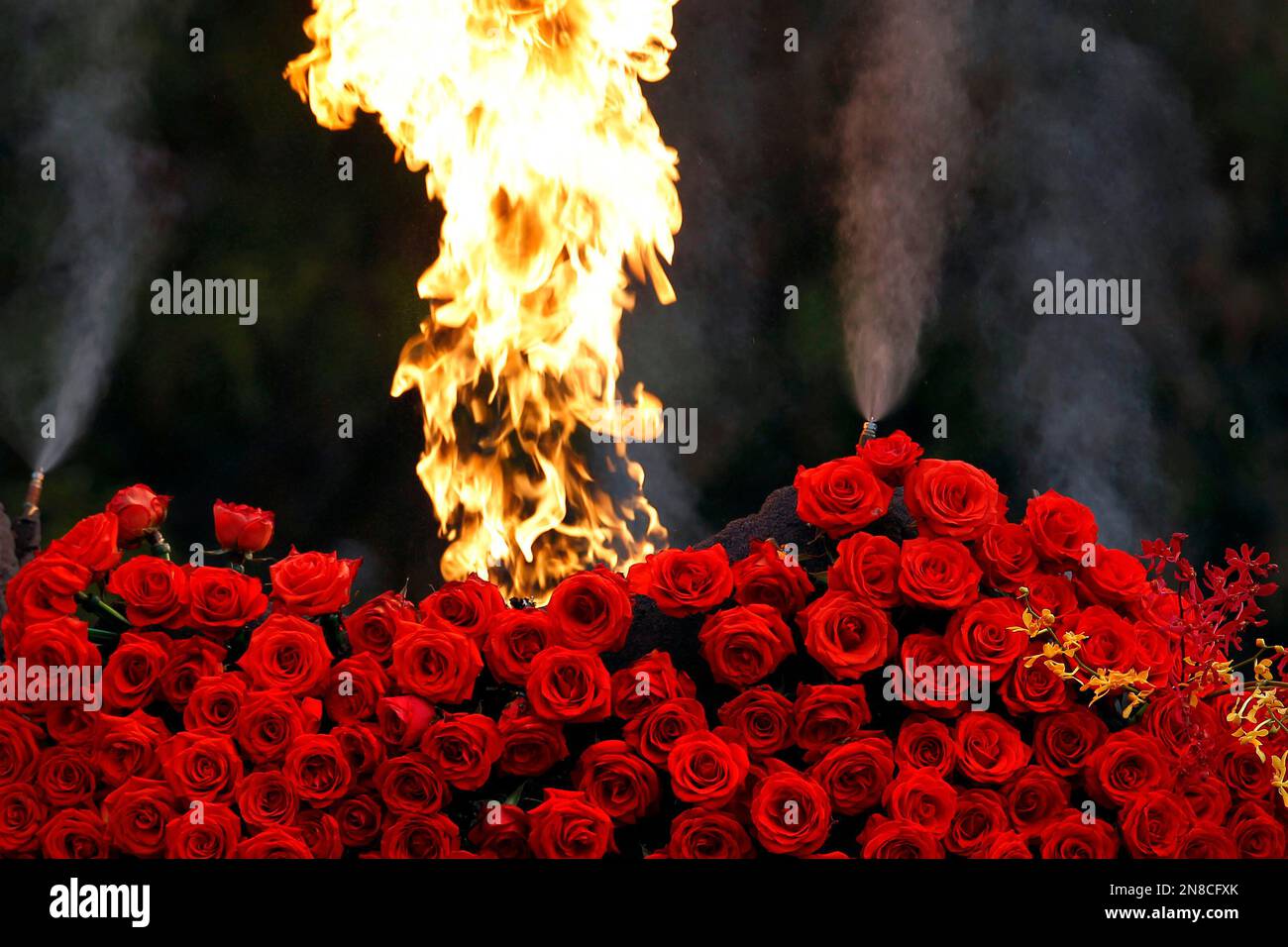 A flame shoots out above a rose volcano on the Dole Dreaming of ...