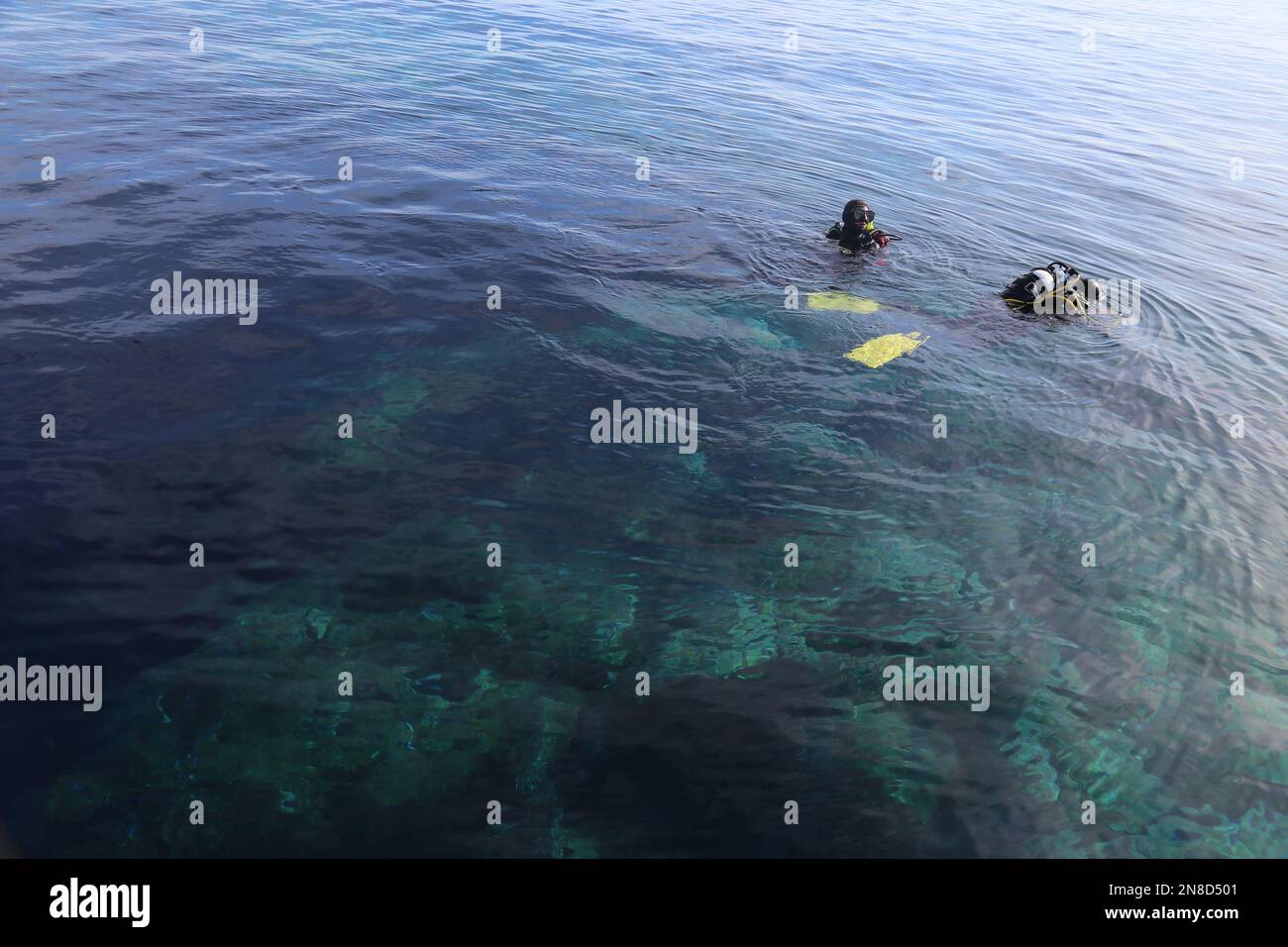 May 24, 2017 - Tuscany, Italy: two divers swimming on the surface of ...
