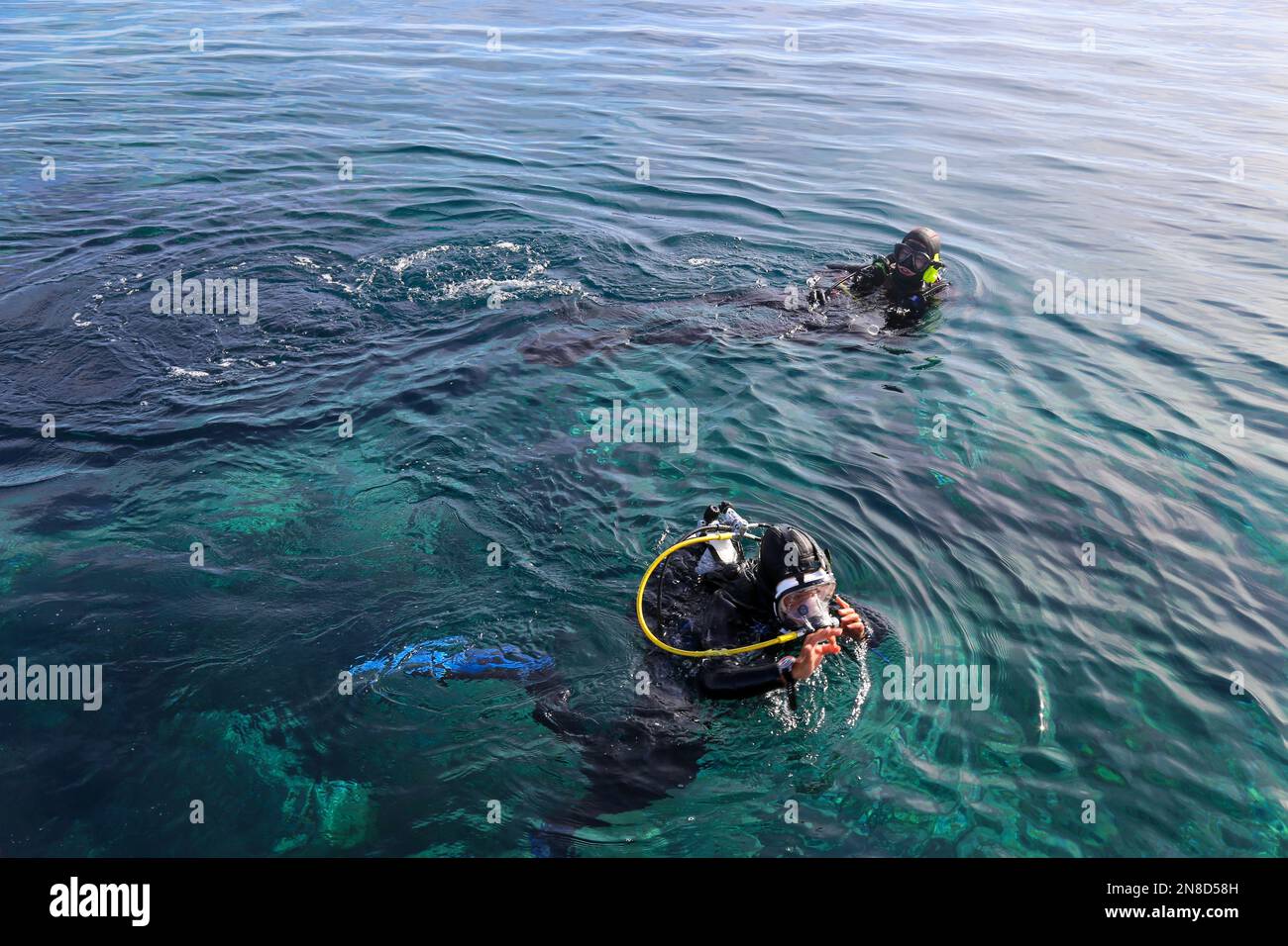 May 24, 2017 - Tuscany, Italy: two divers swimming on the surface of ...
