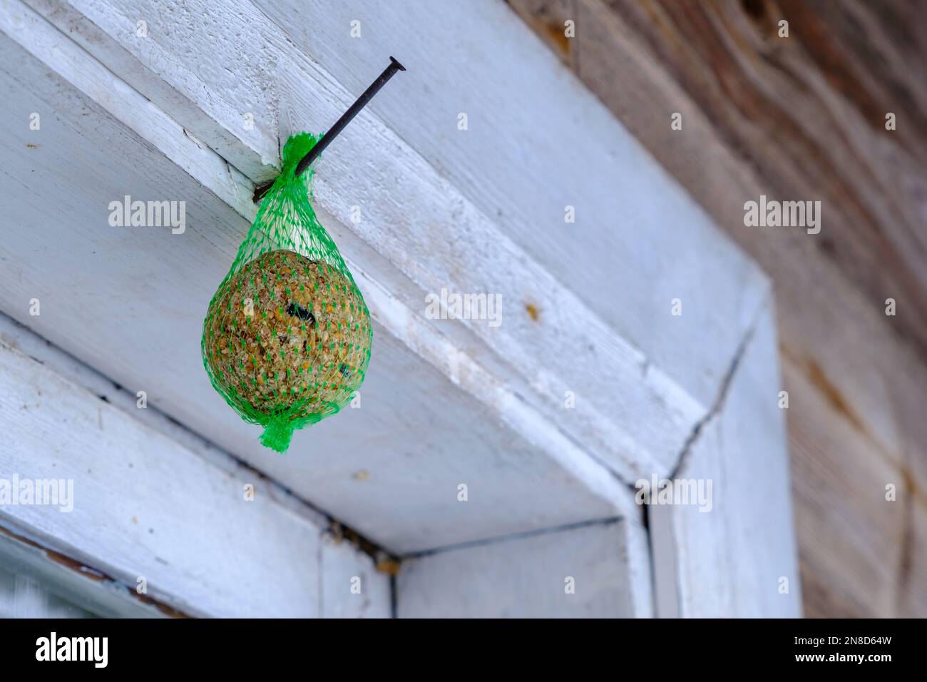 A detailed view of a fat ball winter feed for wild birds. Food hung in ...