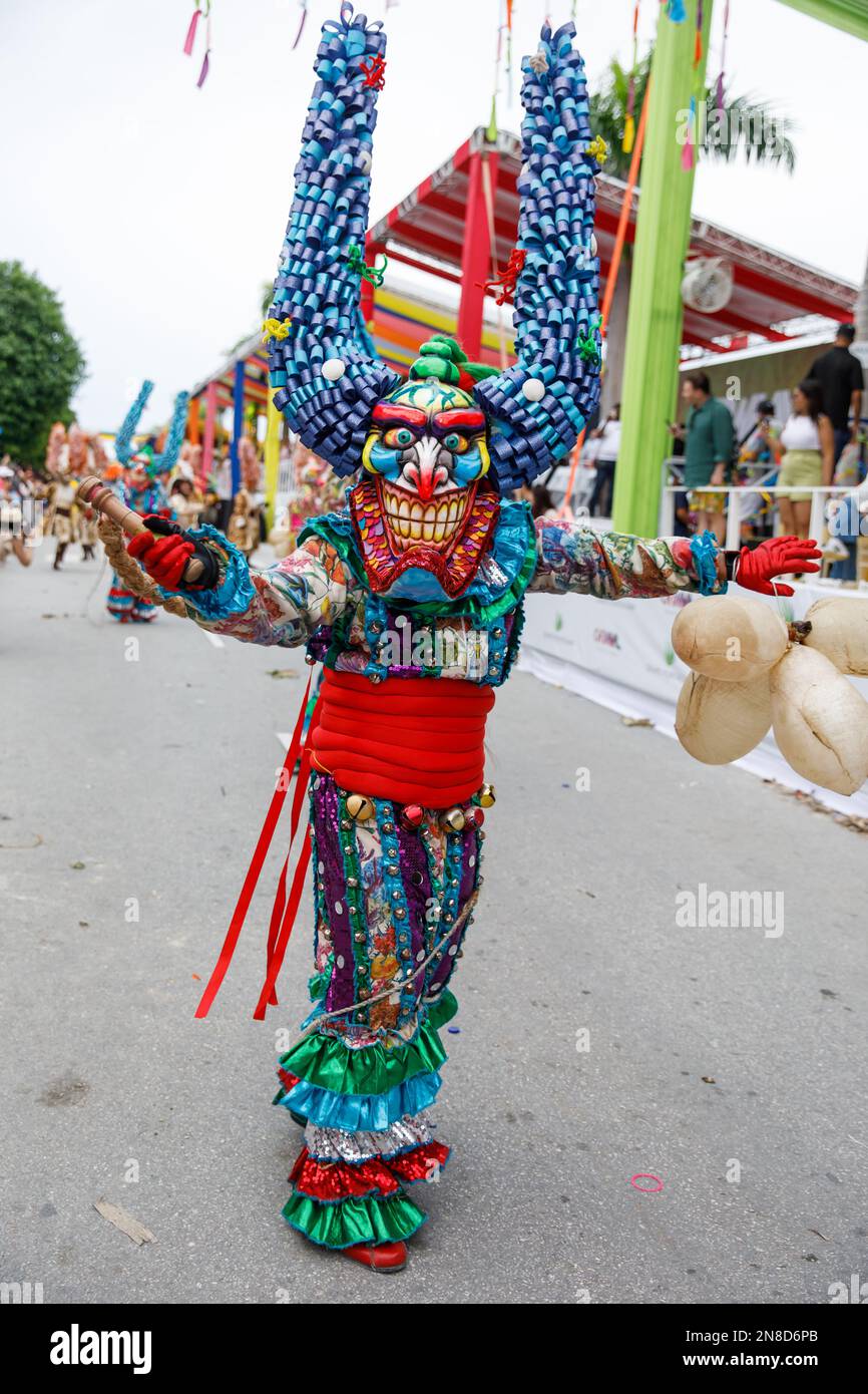 A man in a carnival costume and mask Stock Photo - Alamy
