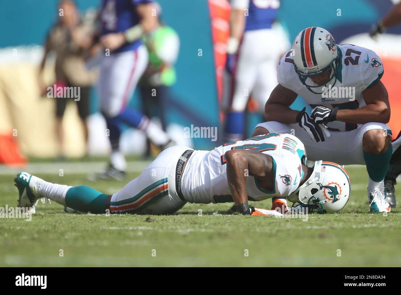 Jimmy Wilson Dolphins