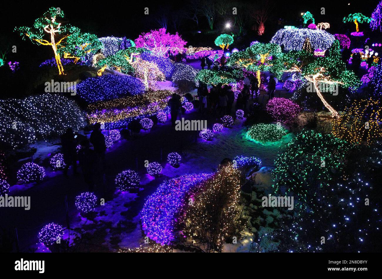 Trees are decorated with lights to celebrate the upcoming Christmas and ...