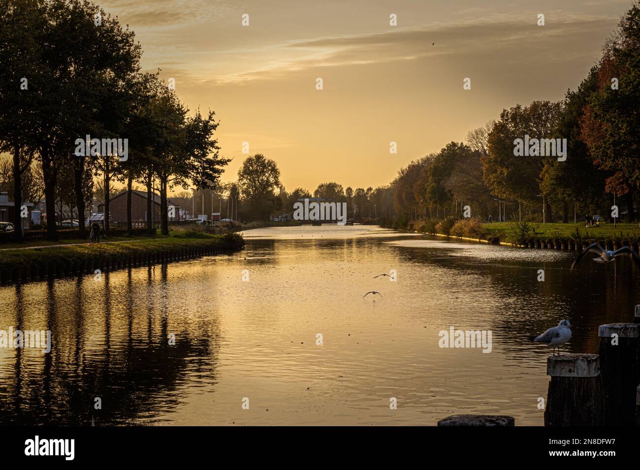 A beautiful scene of trees reflecting on the lake with orange sunset ...