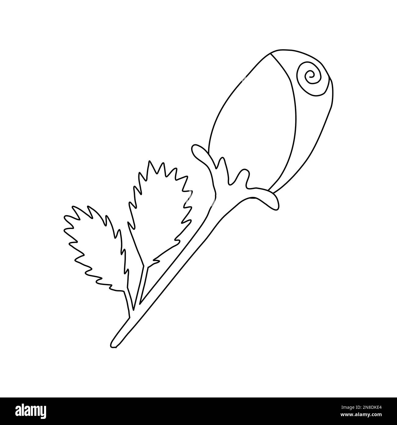 Rose bud on stem with leaves, flat vector outline illustration for kids ...