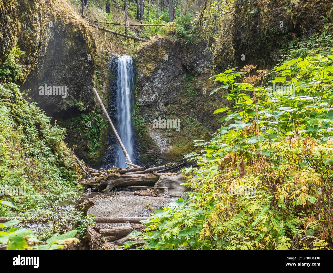 Wiesendanger Falls, Multnomah Creek, Columbia River Gorge National ...