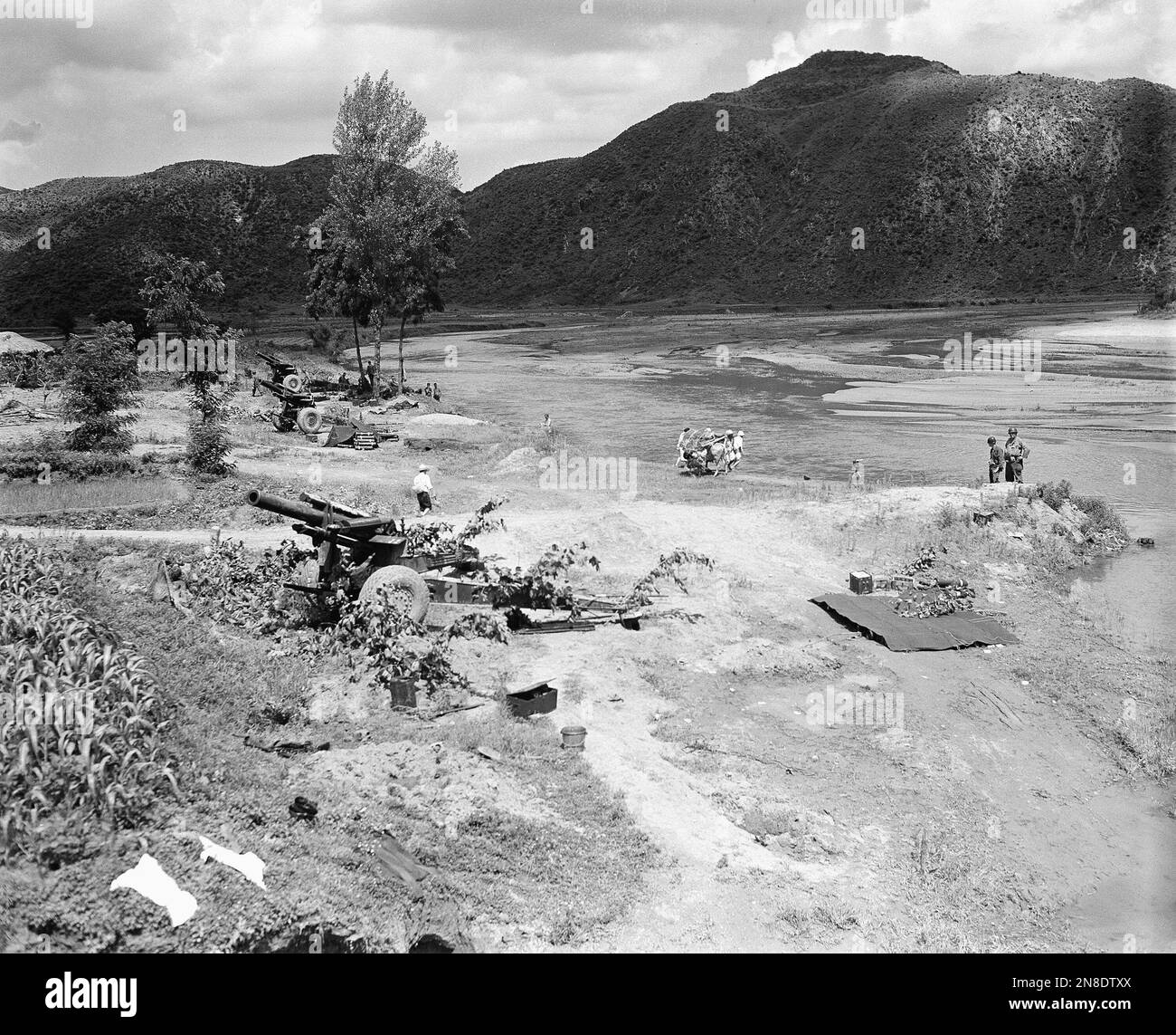 American artillery, partially hidden by brush, is spaced along a front ...