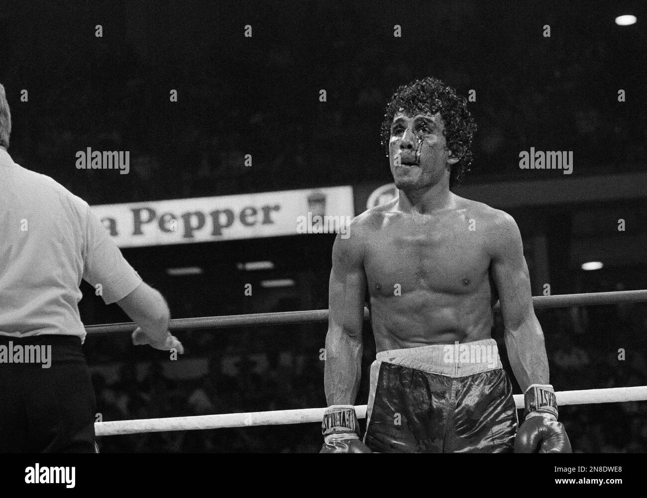 Mustafa Hamsho, eye bleeding, appears to be on his way to defeat at the ...