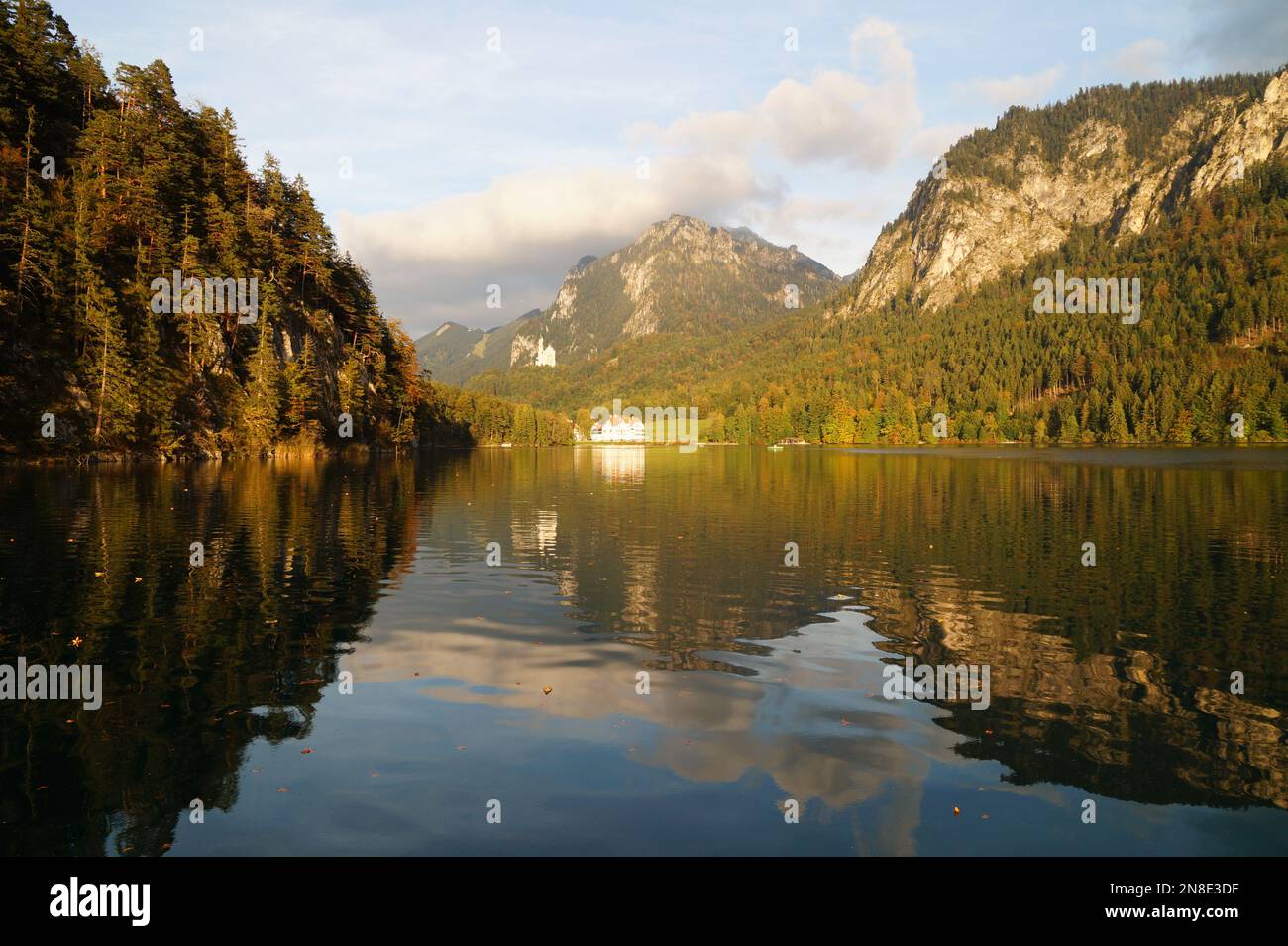 alpine lake Alpsee in the Bavarian Alps with castle Neuschwanstein in ...