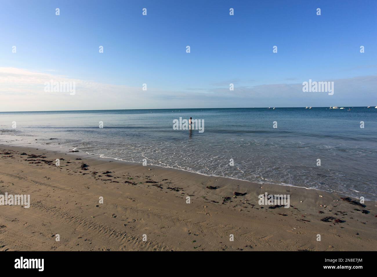 Sandy quiet beach with a lone swimmer, Ile de |R|e, Charente Maritime, France, Europe Stock ...