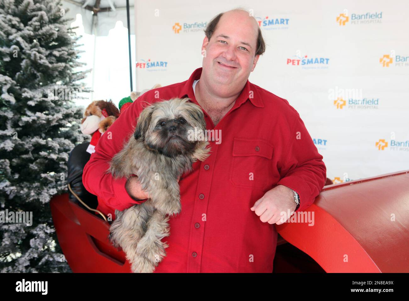 IMAGE DISTRIBUTED FOR BANFIELD PET HOSPITAL - Brian Baumgartner from ...
