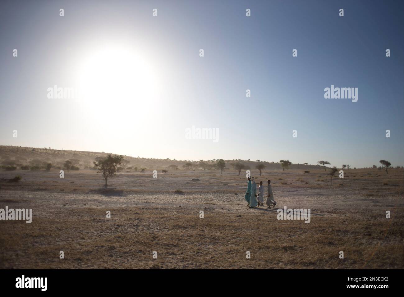 In this Nov. 2, 2012 photo, young men walk in the wadi alongside Louri ...
