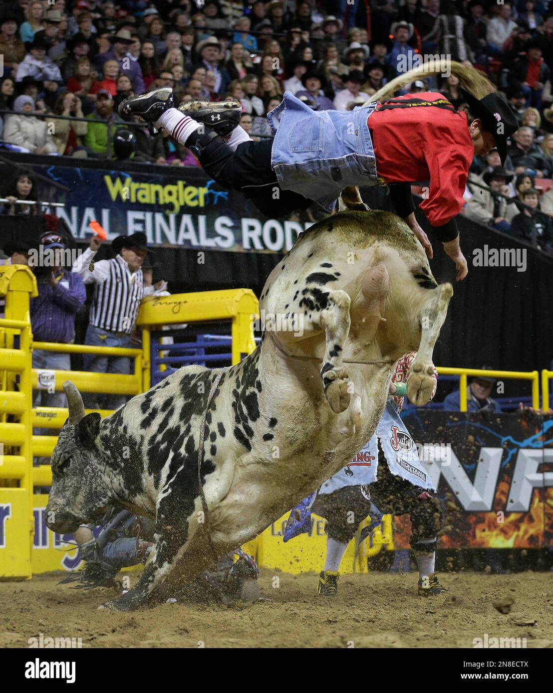 A bullfighter is thrown in the air by the bull Beowulf during the ...