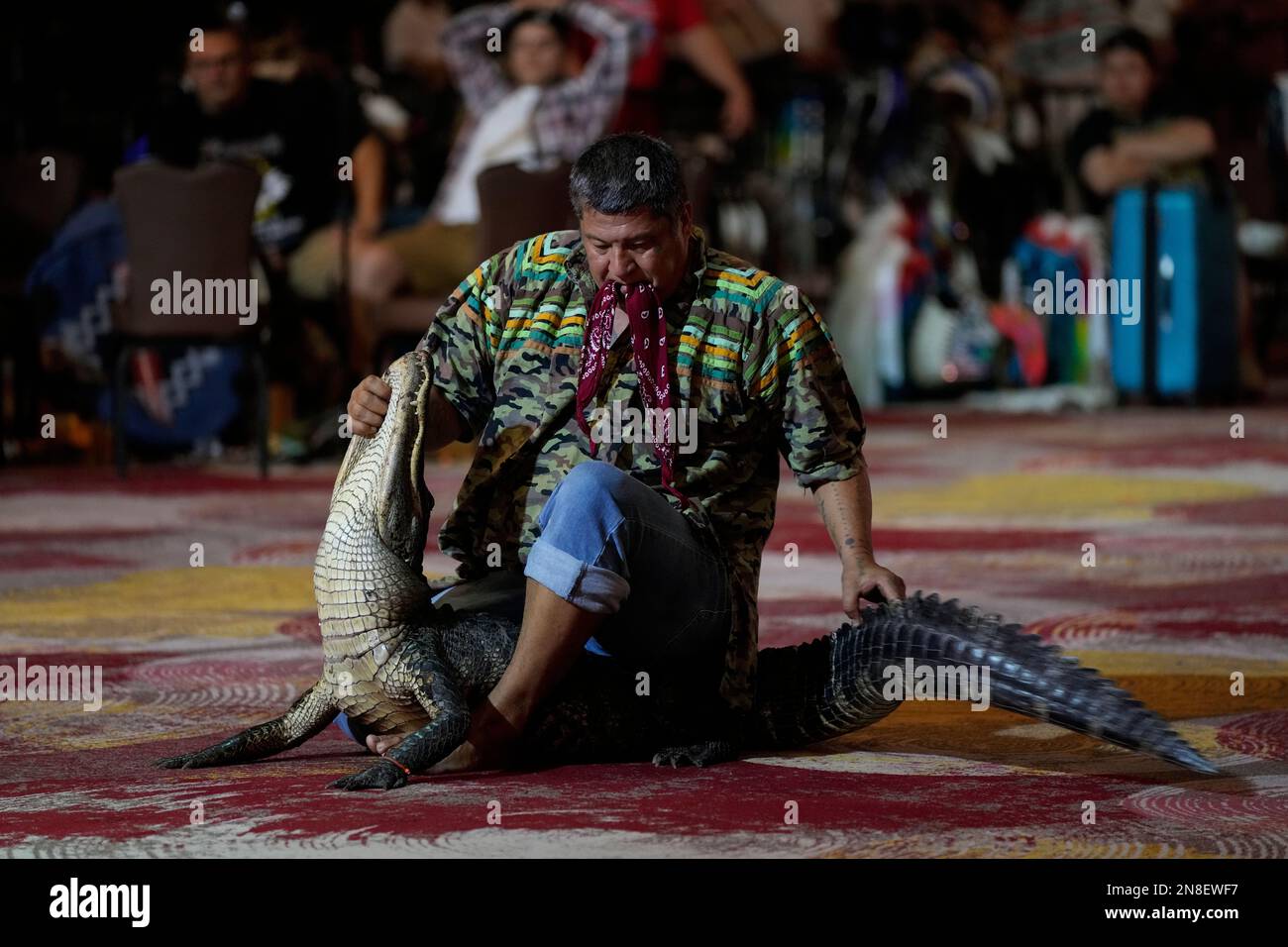 Seminole alligator wrestler Billy Walker of the Big Cypress Reservation ...