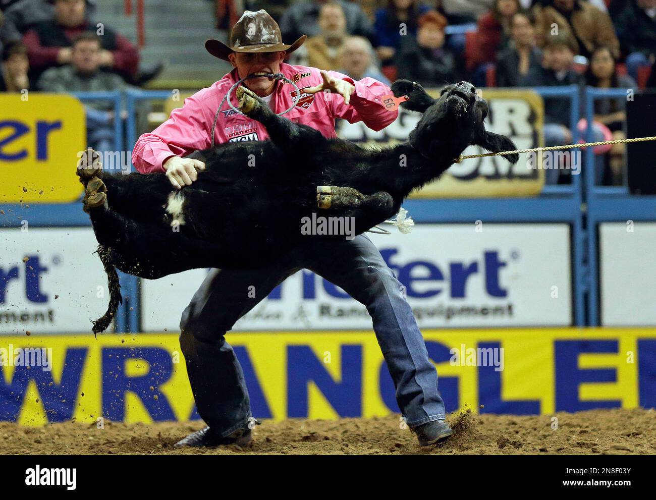 Tuf Cooper of Decatur, Texas, flips a calf on its side during the tie ...