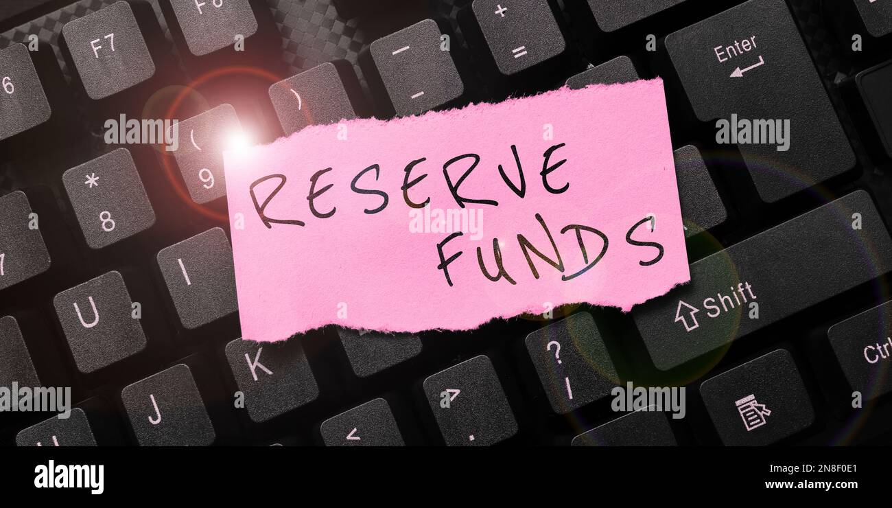 Writing displaying text Reserve Funds. Word Written on money released ...