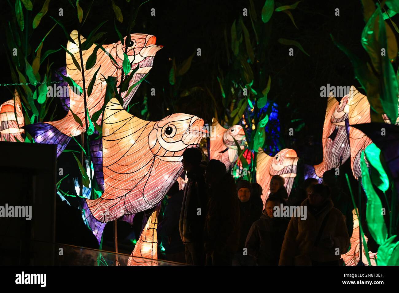 Halle, Germany. 11th Feb, 2023. 11 February 2023, Saxony-Anhalt, Halle ...