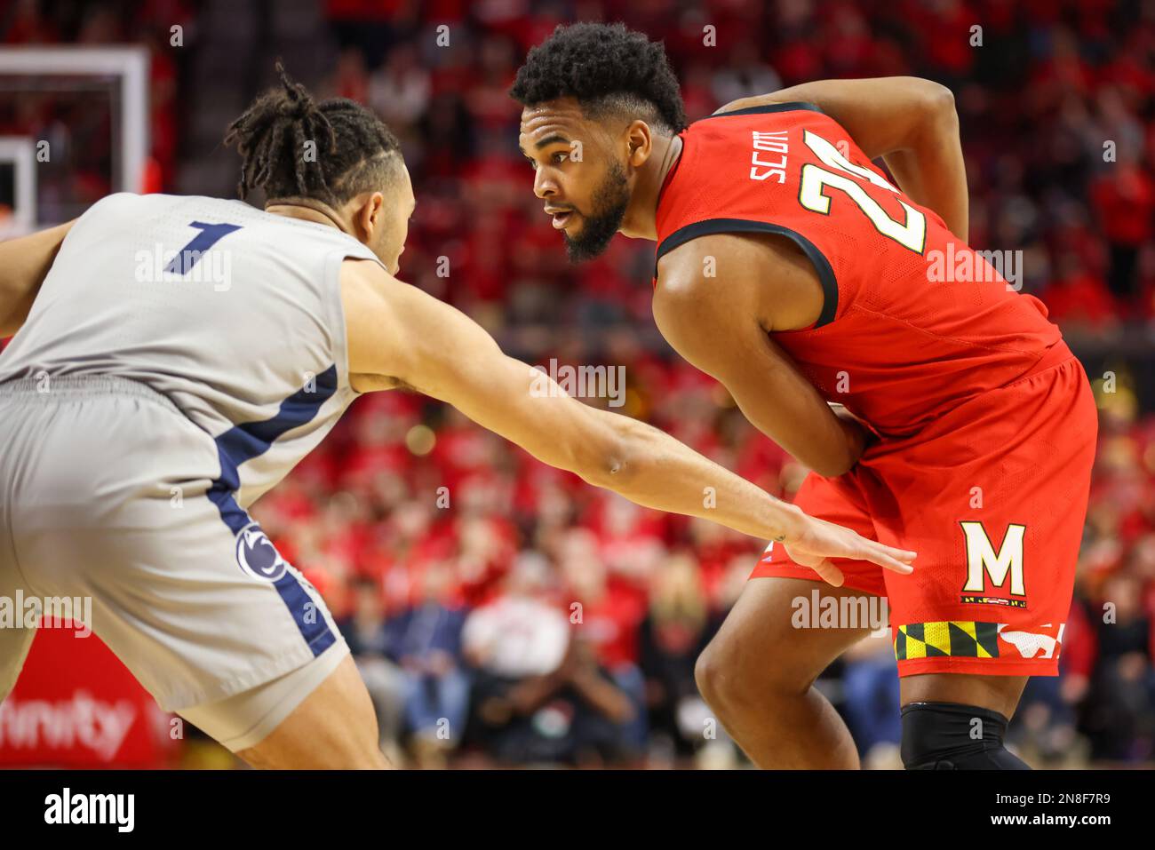 Seth lundy hi-res stock photography and images - Alamy
