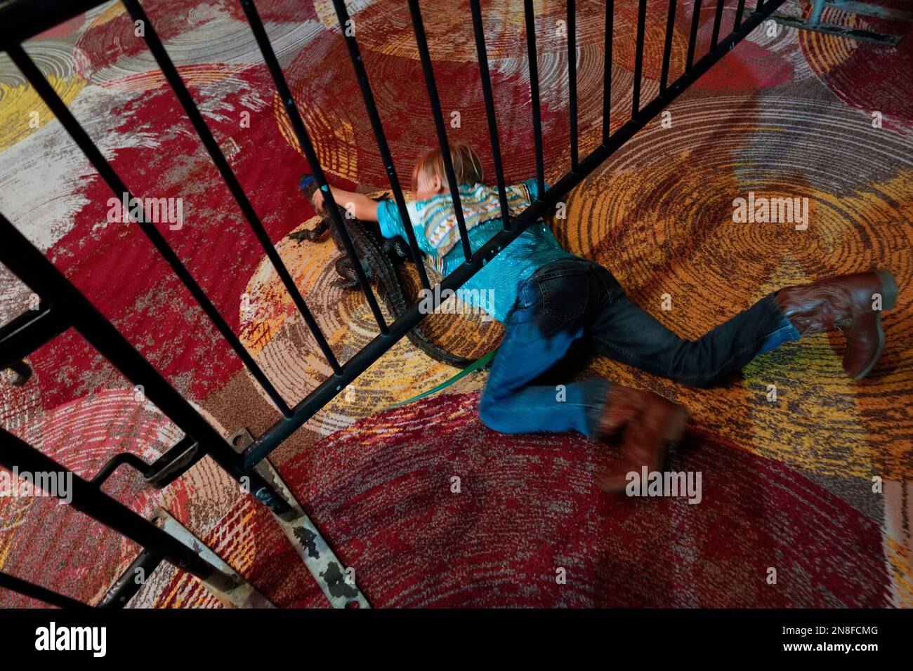 Jonah Walker, 9, son of Seminole alligator wrestler Billy Walker ...