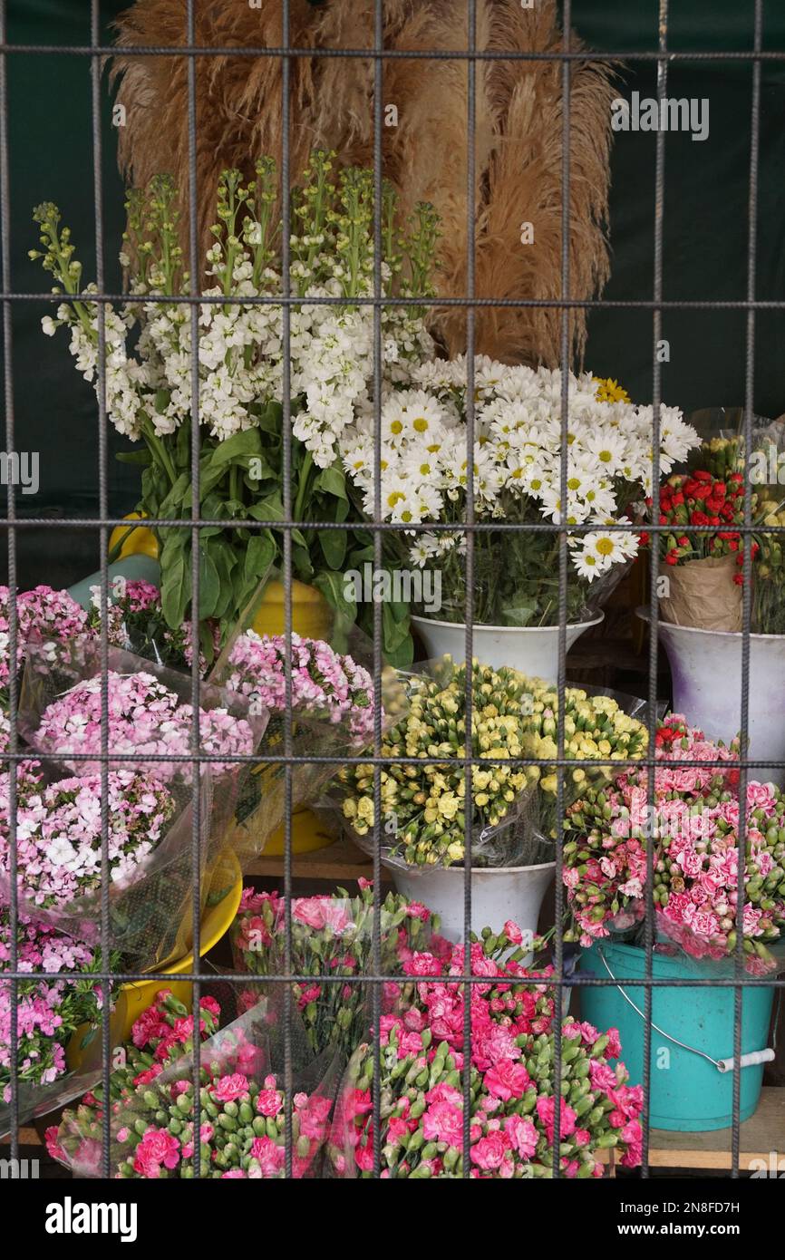 bouquets of flowers behind bars Stock Photo - Alamy