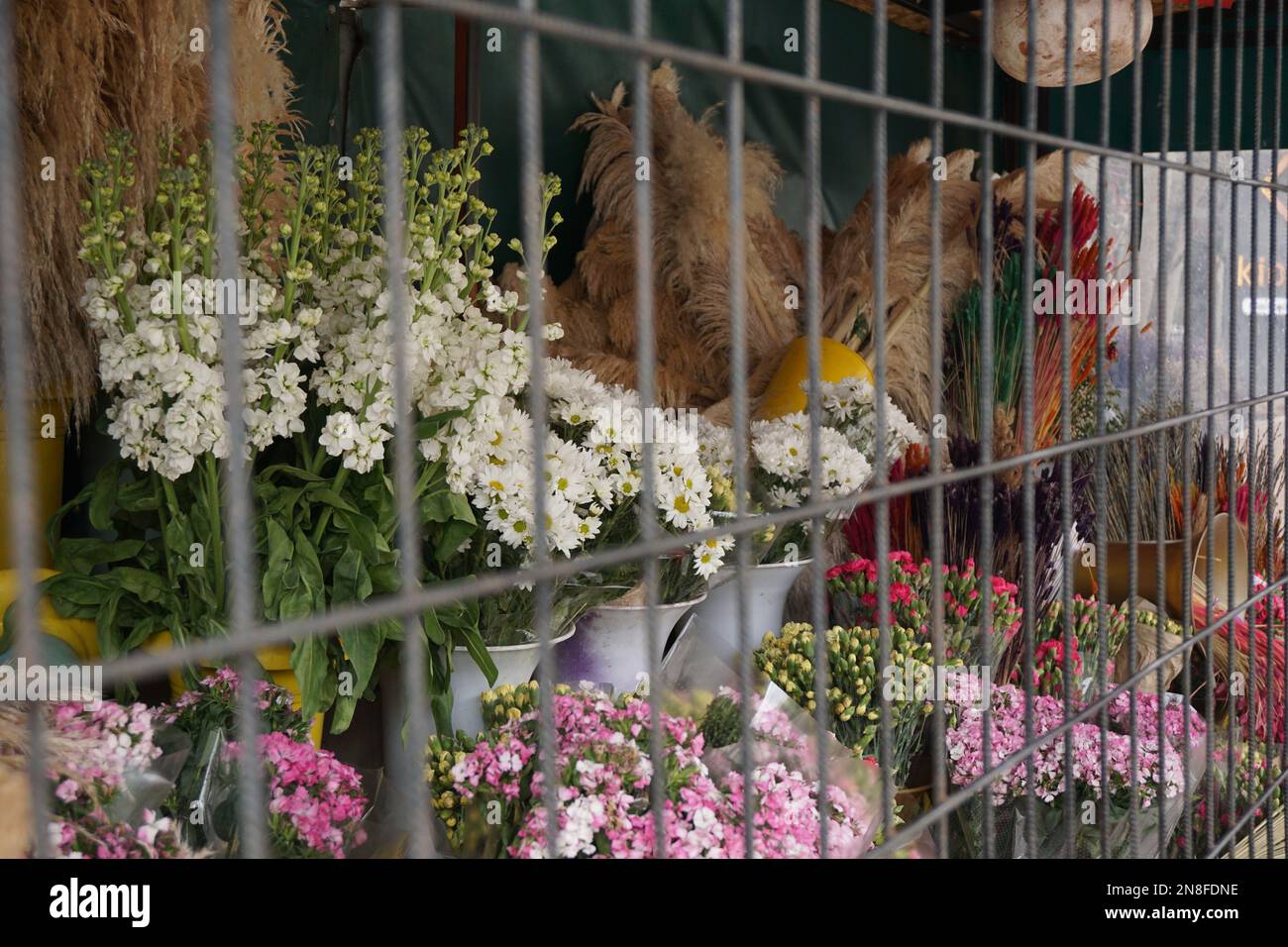 bouquets of flowers behind bars Stock Photo - Alamy