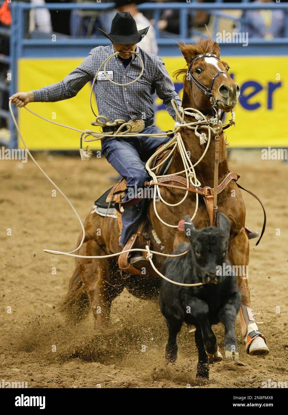 Houston Hutto of Tomball, Texas successfully ropes a calf in the tie ...