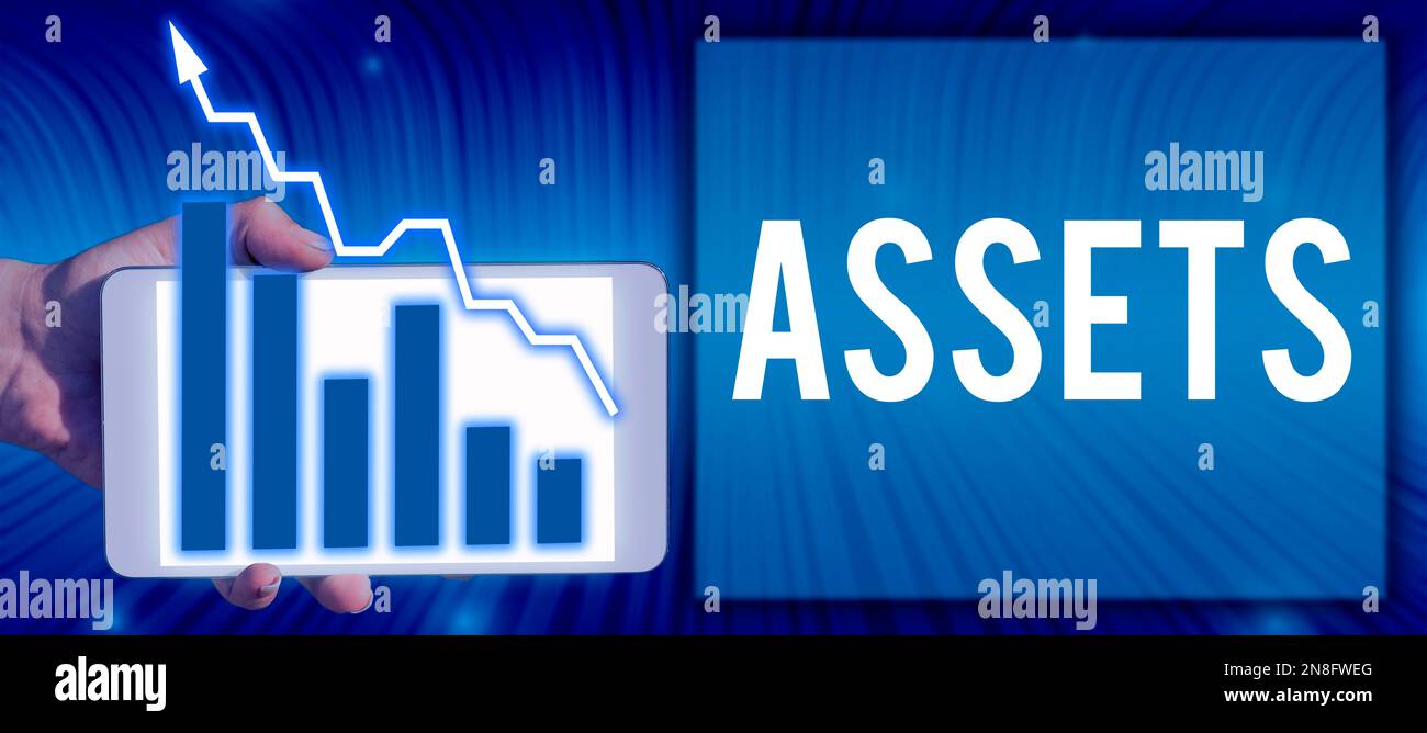 Text caption presenting Assets. Business approach item of property ...