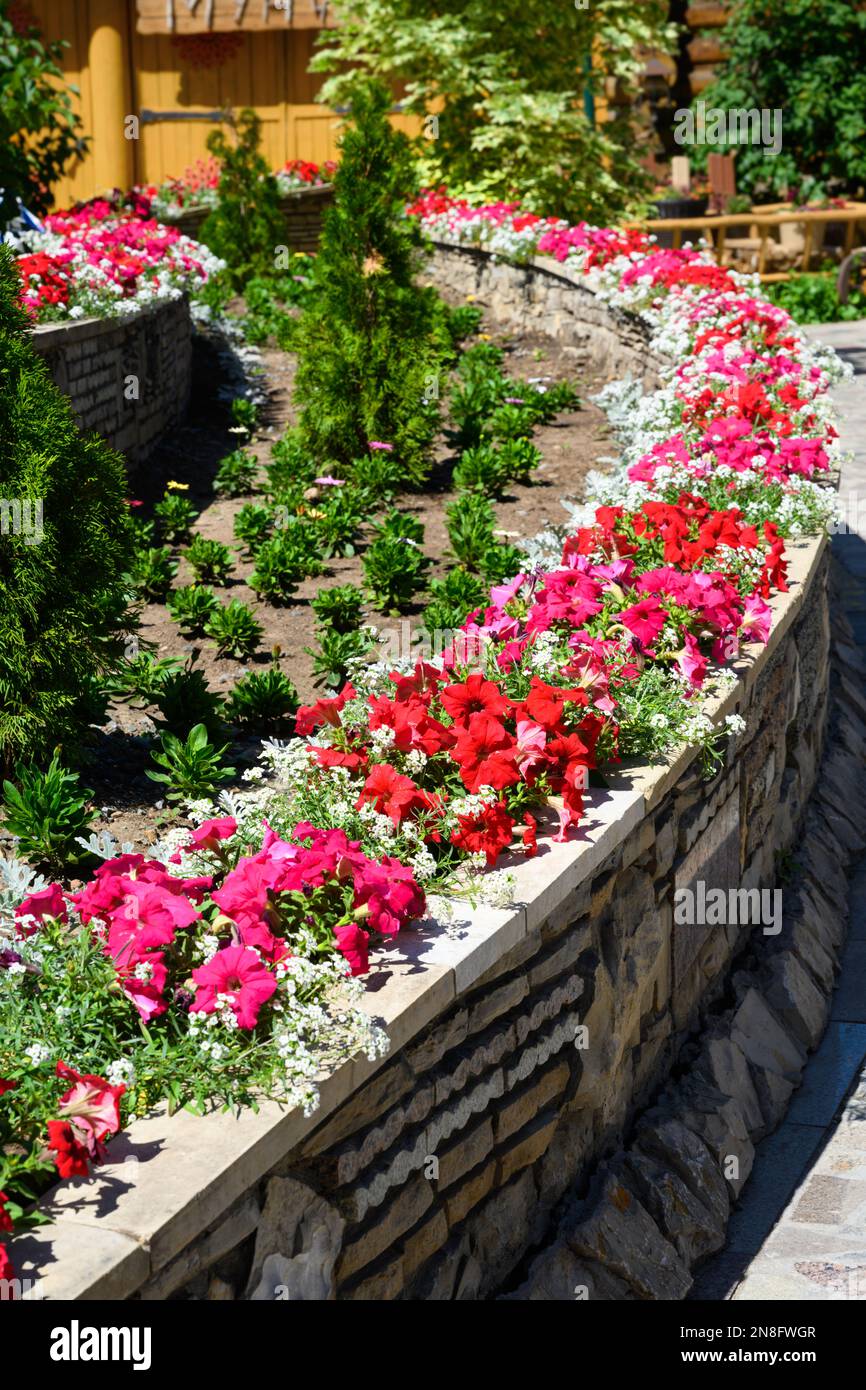 Landscape design of home garden, landscaping with flowers and stone ...