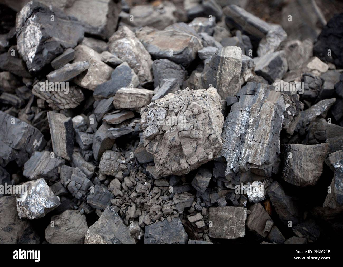 In this July 6, 2012 photo, pieces of coal lay in a pile at the Erdenes ...