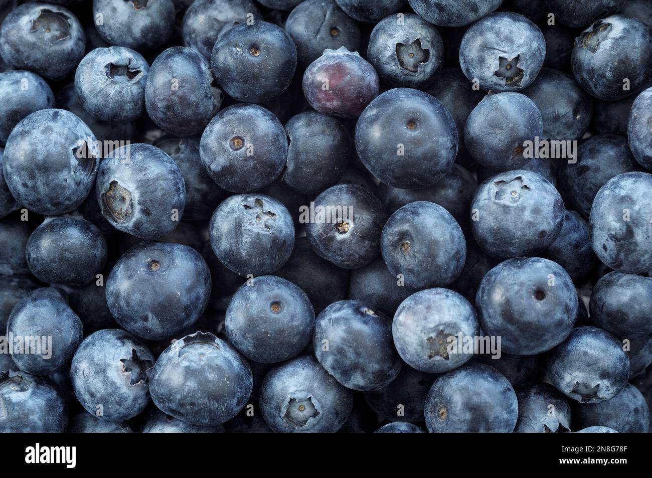 Blueberries. Blueberry close up. Pile of fruit berries Stock Photo - Alamy